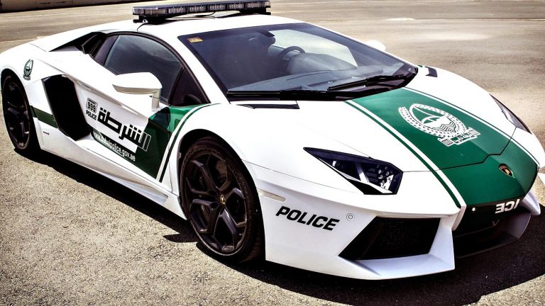 30 Fastest Police Cars in the World